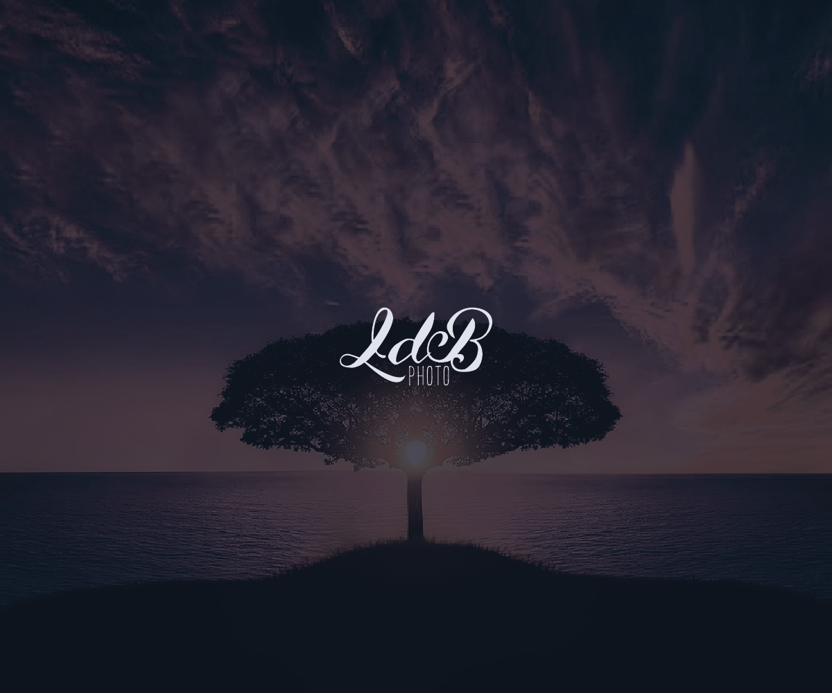 Upmarket, Modern Logo Design for ldb OR ldb Photo by Vetroff | Design ...