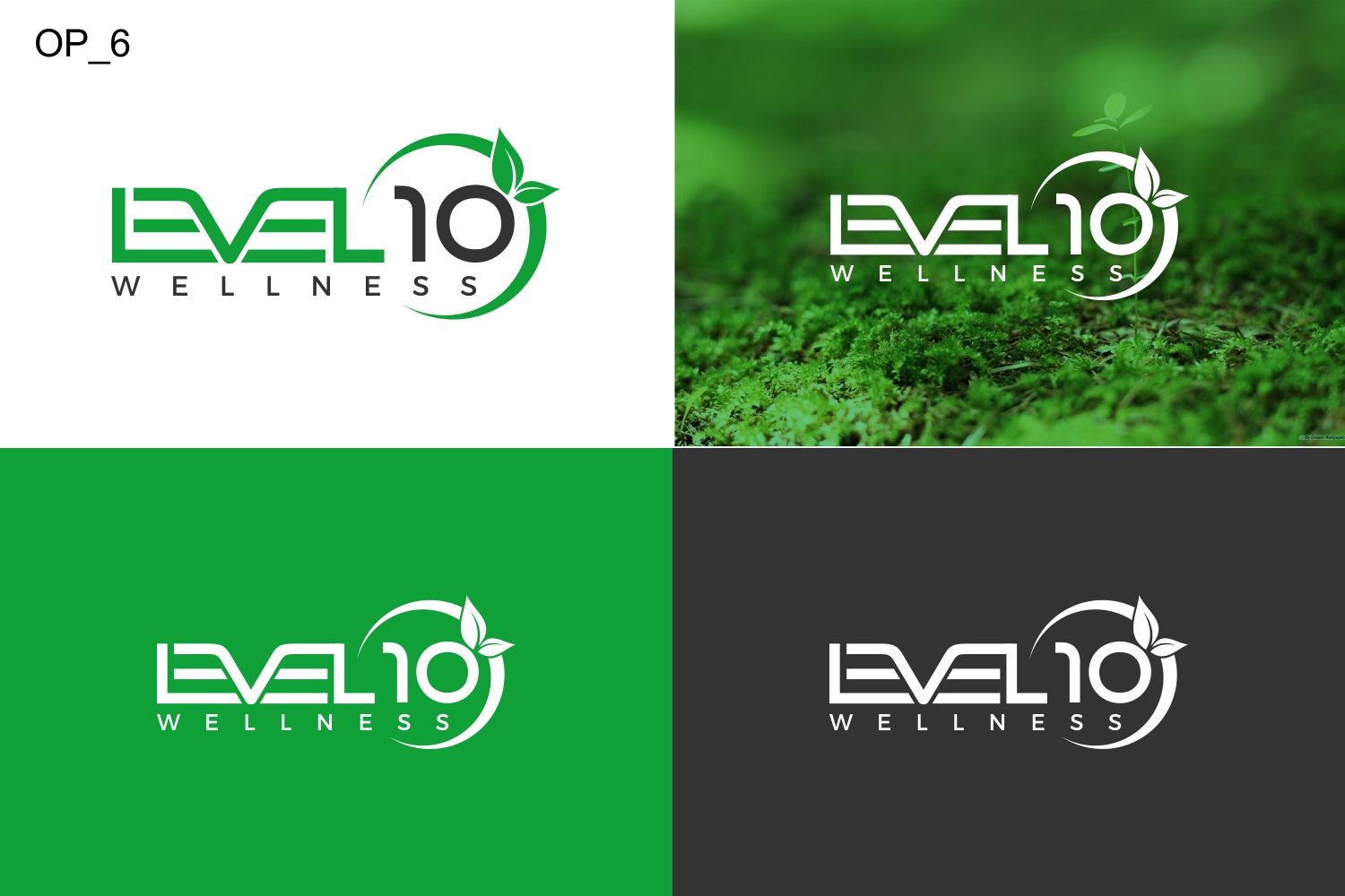 Serious, Professional, Health And Wellness Logo Design for Level 10 ...