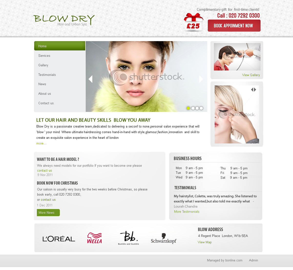 Elegant, Playful, Beauty Salon Web Design for bOnline Ltd. by jijesh ...
