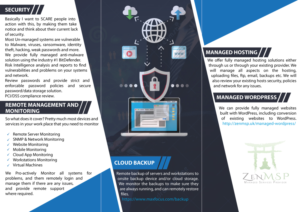 marketing flyer/brochure for MSP business | 24 Flyer Designs for Zen ...