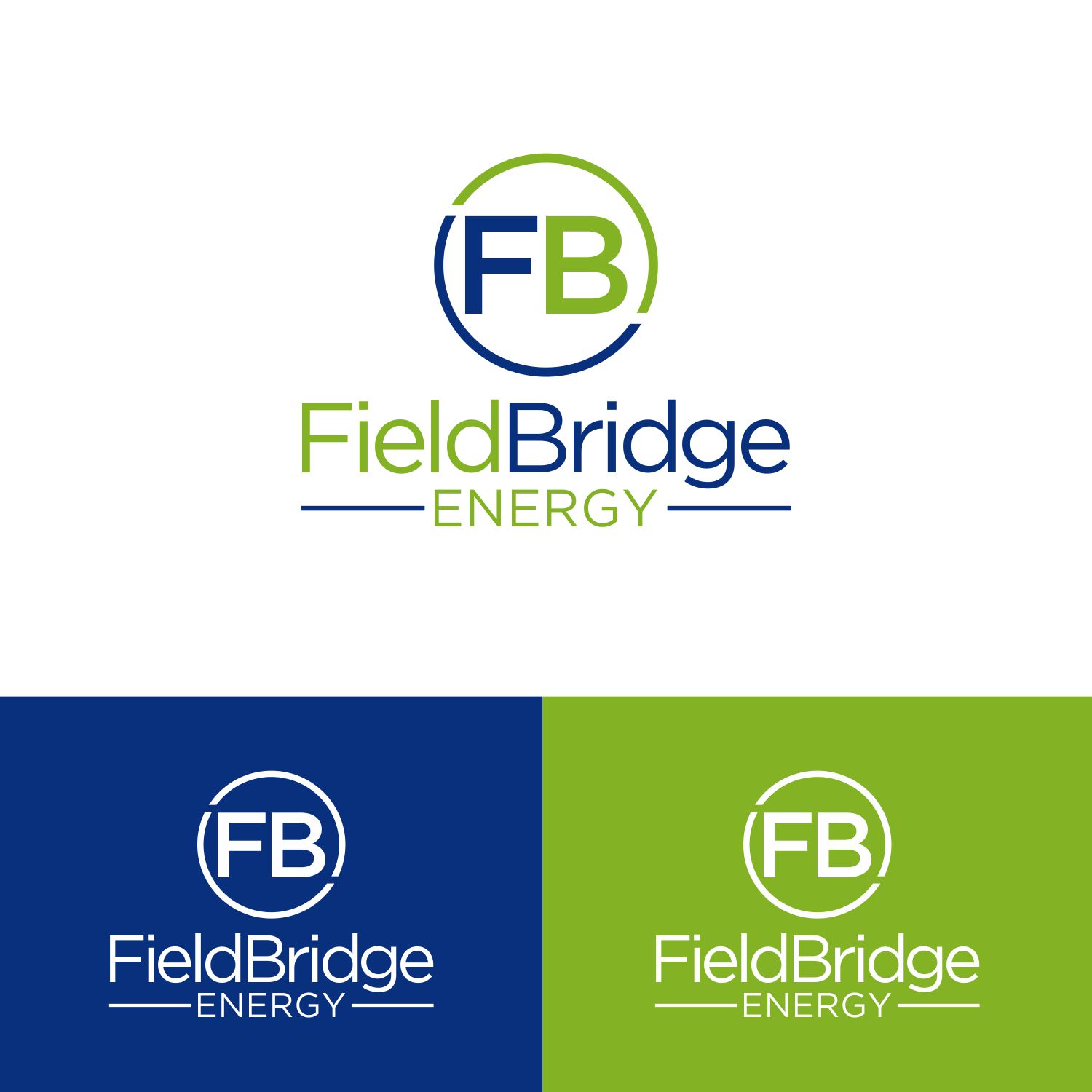 Elegant, Playful, It Company Logo Design for FieldBridge by R Graphic ...