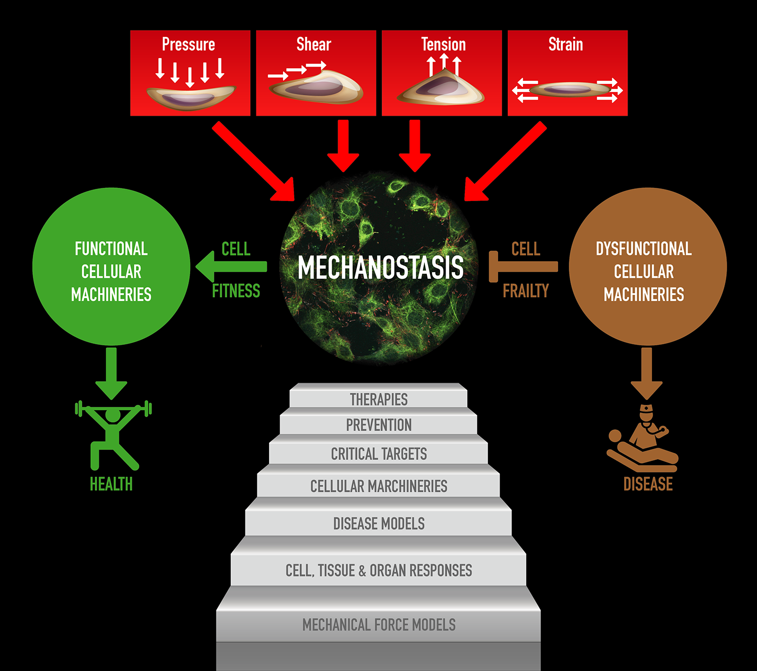 Professional, Bold Illustration Design for Turku Centre for ...