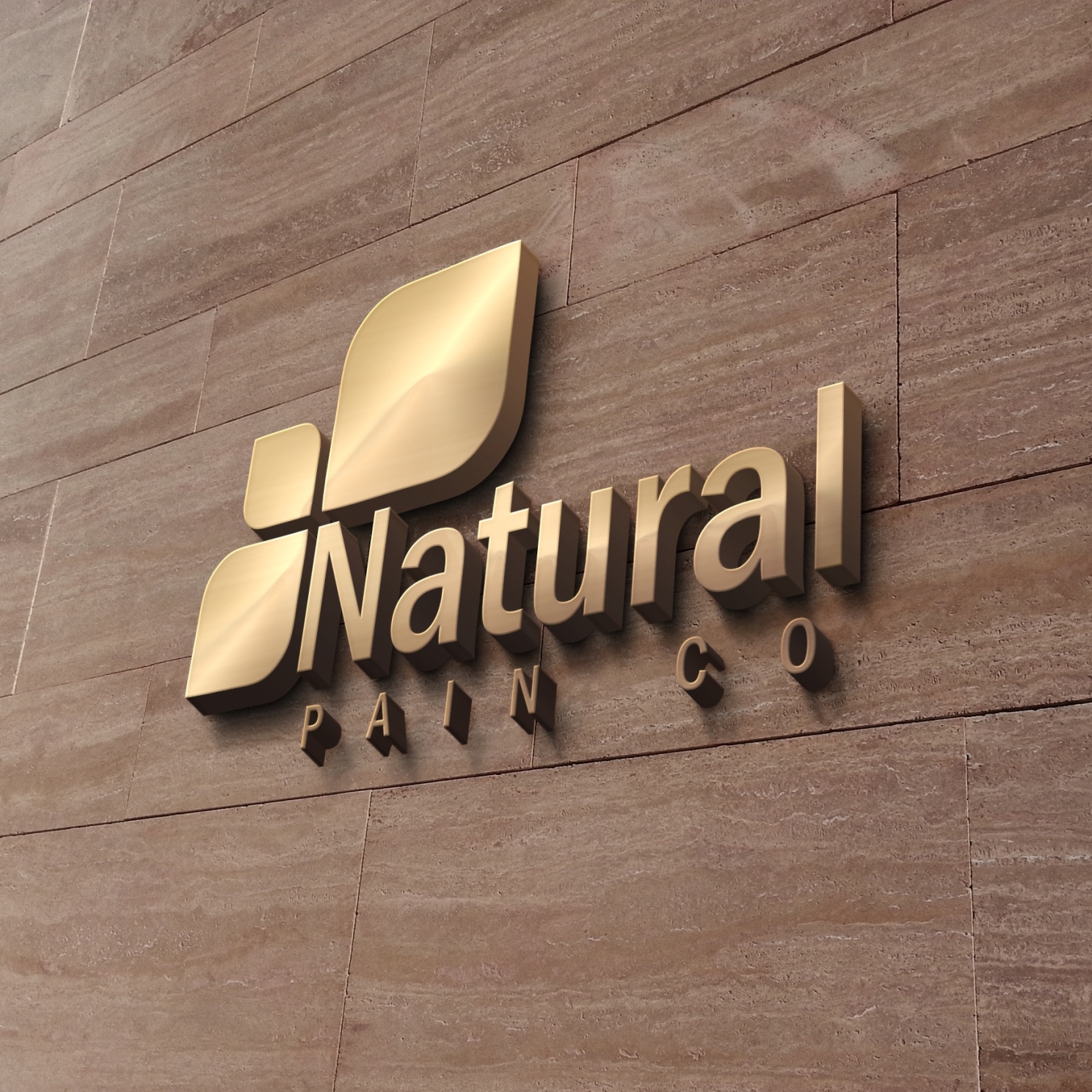 Modern, Conservative, Paint Logo Design for Natural Paint Co by mam1 | Design #14407780