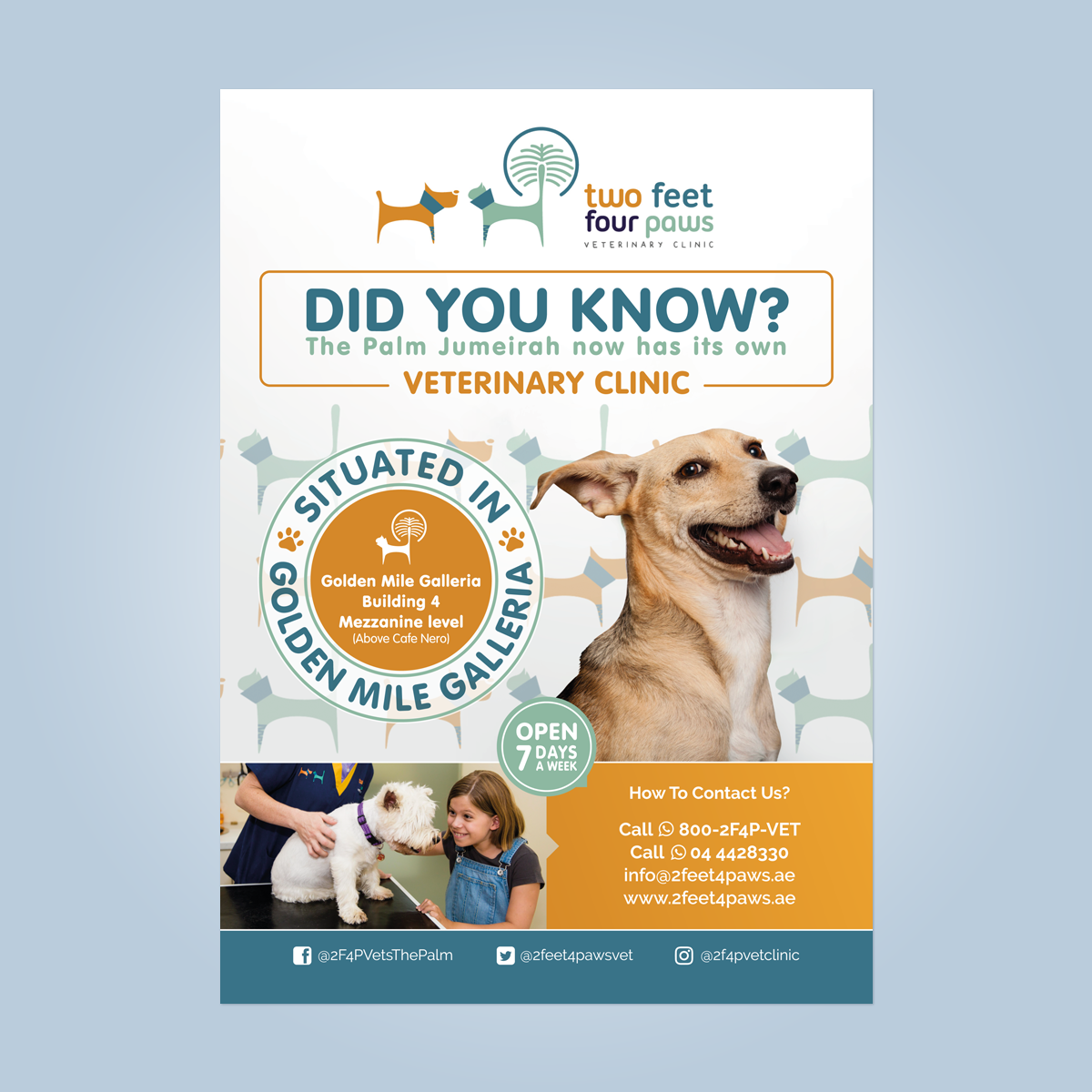 Playful, Modern, Veterinary Flyer Design for 2Feet4Paws by nadhisa87 ...