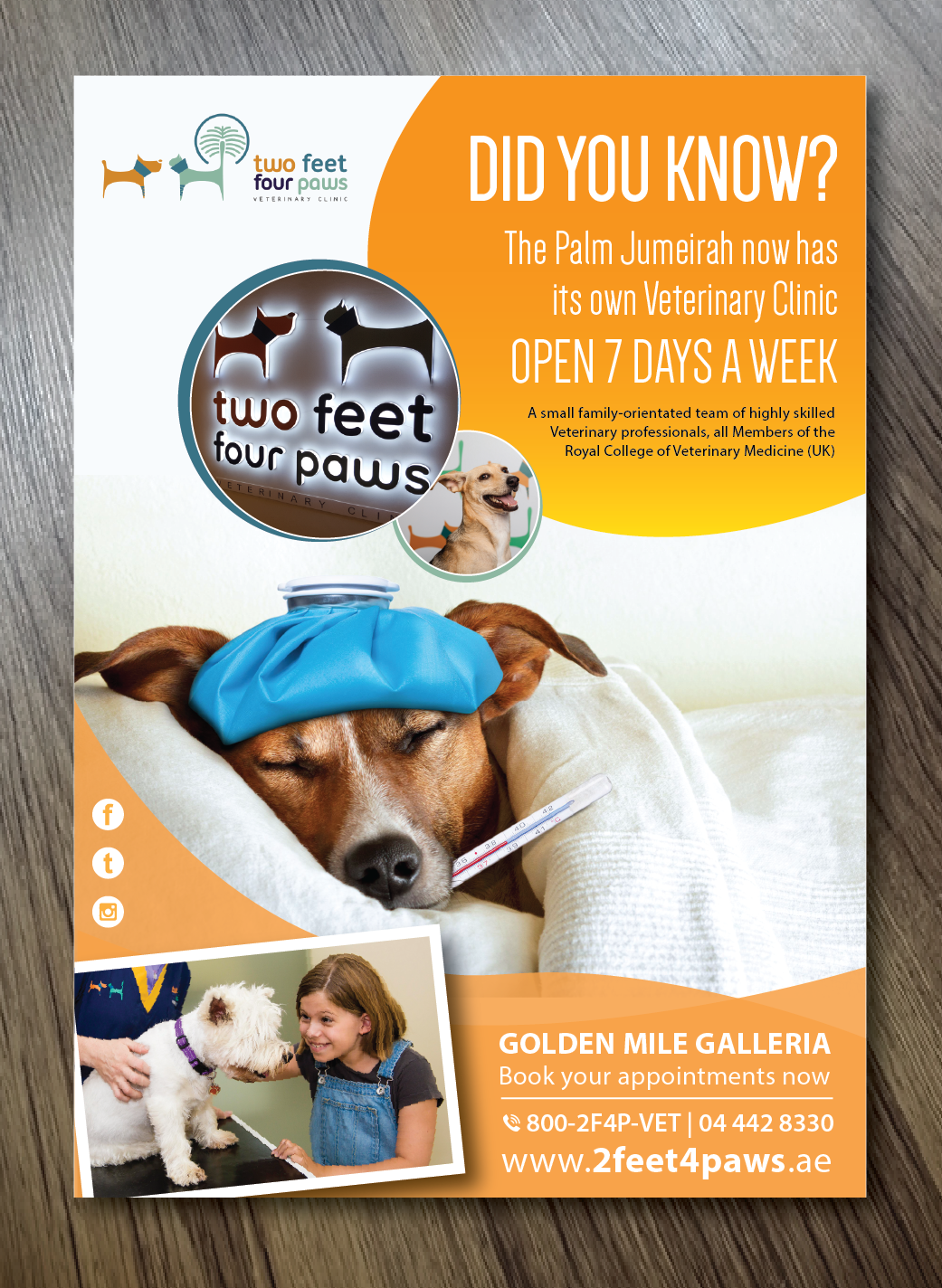 Playful, Modern, Veterinary Flyer Design for 2Feet4Paws by Alexandar ...