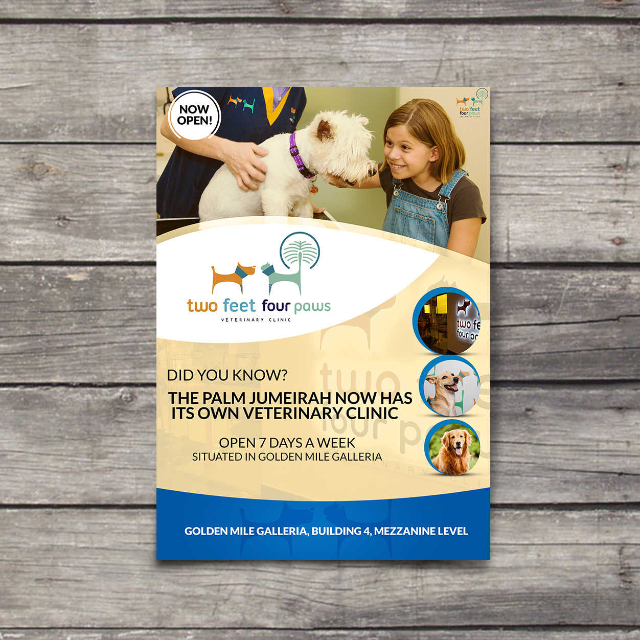 Playful, Modern, Veterinary Flyer Design for 2Feet4Paws by Omar Rezk ...