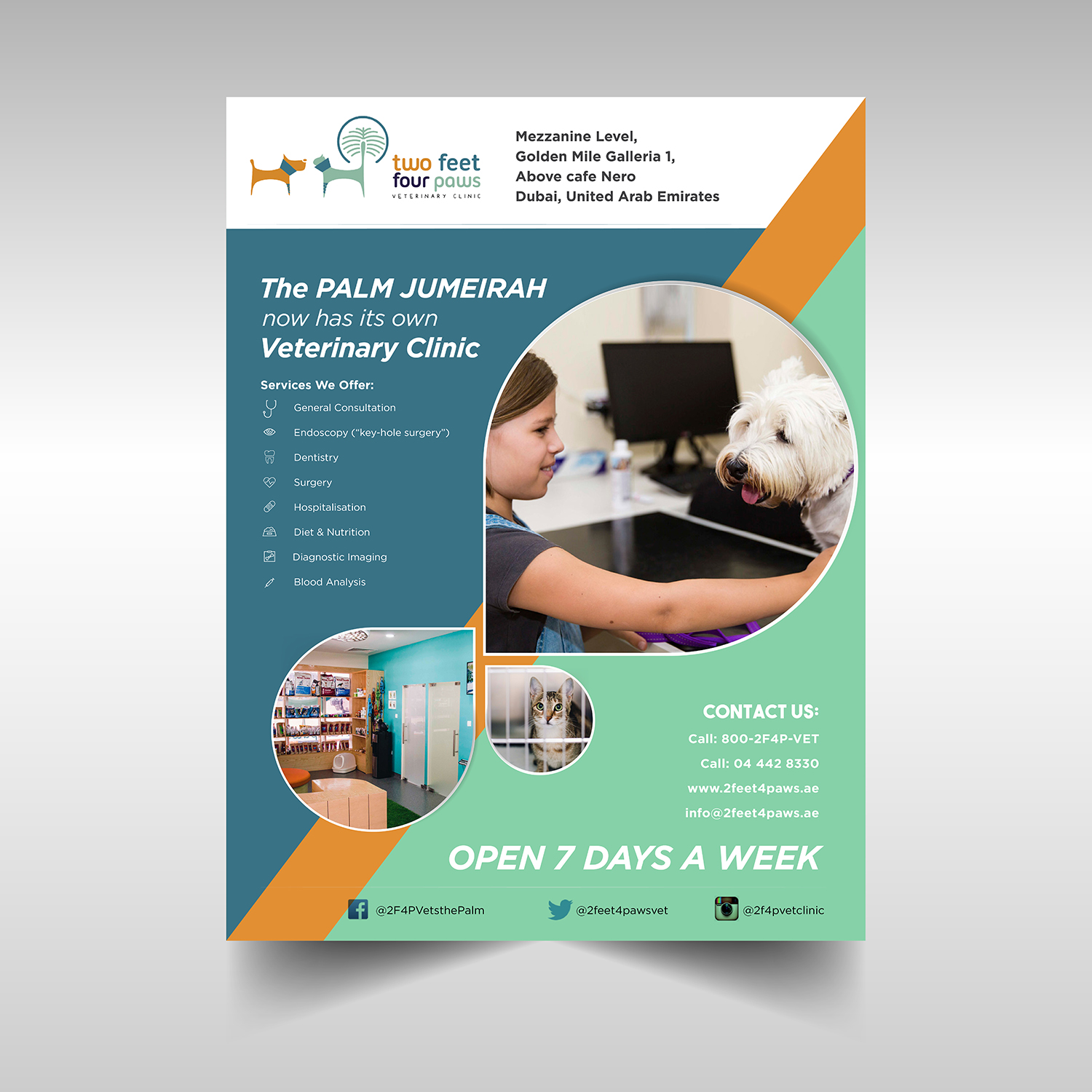 Playful, Modern, Veterinary Flyer Design for 2Feet4Paws by SD-Designs ...