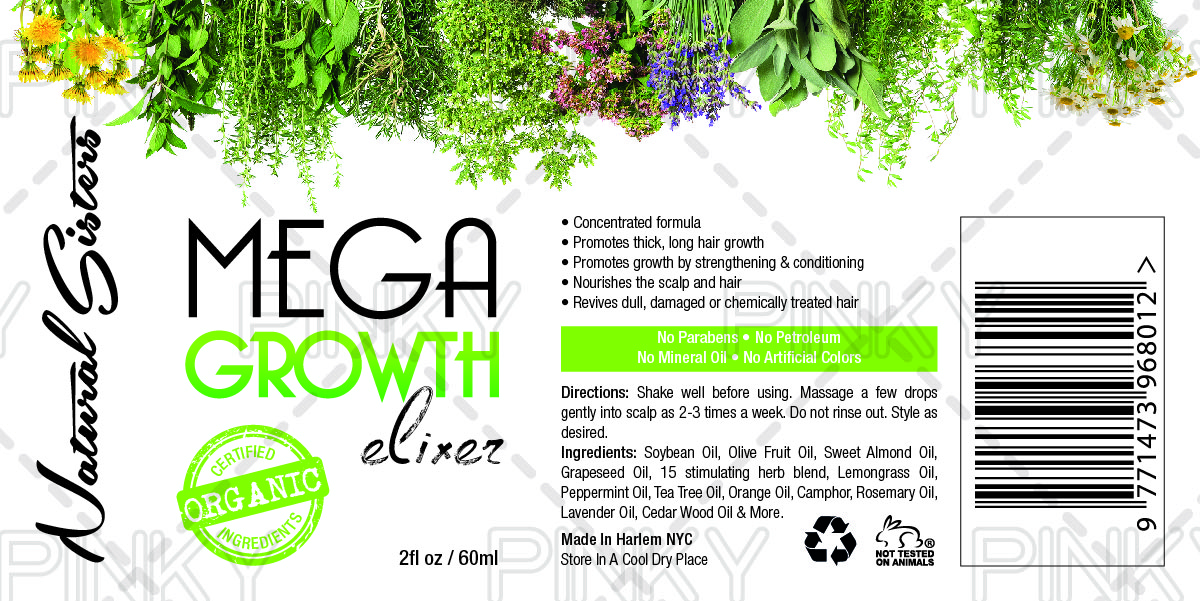 Professional, Bold, Hair Label Design for natural sister salon by Pinky ...