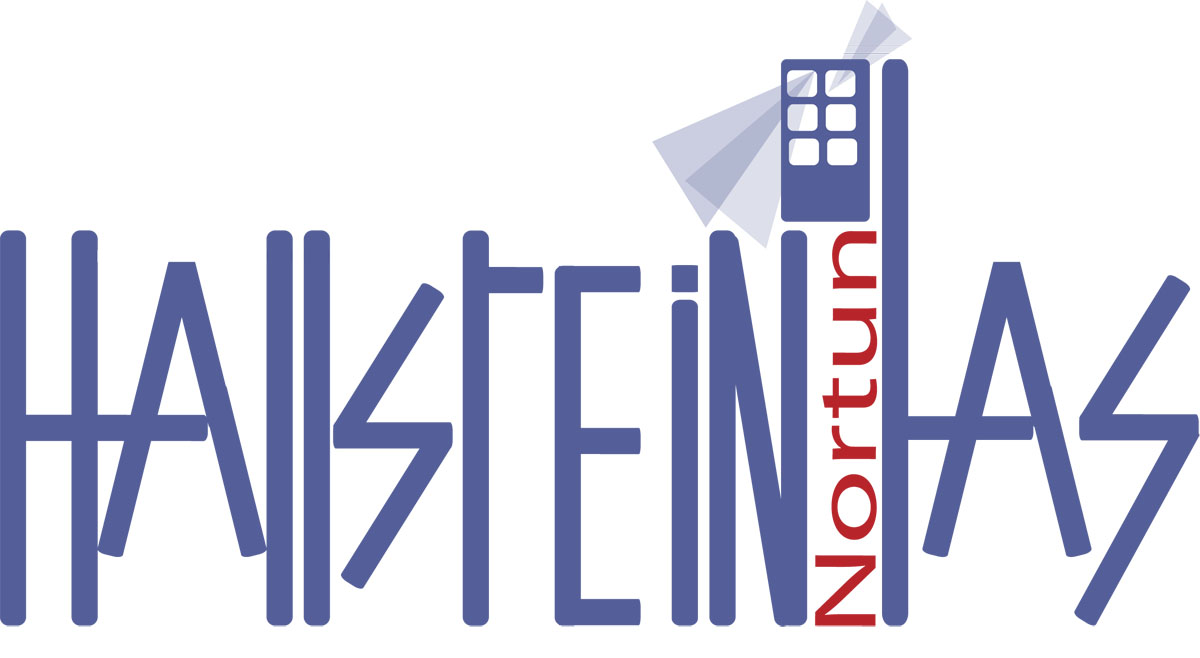 Elegant, Playful Logo Design for Hallstein Nortun AS by DesigNirit ...