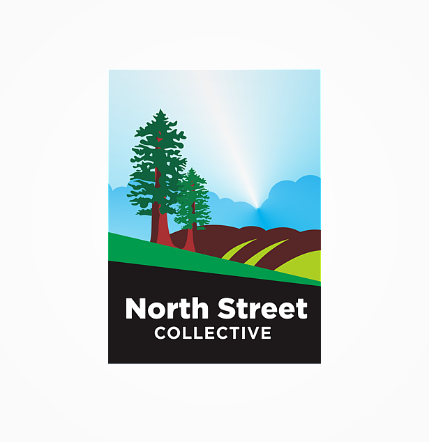 Playful, Professional, Community Logo Design for North Street ...