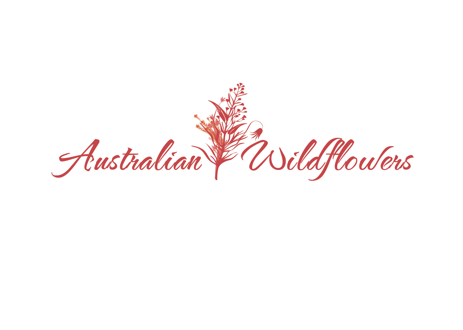 Playful, Modern Logo Design for Australian Wildflowers by ivo_i_ivanov ...