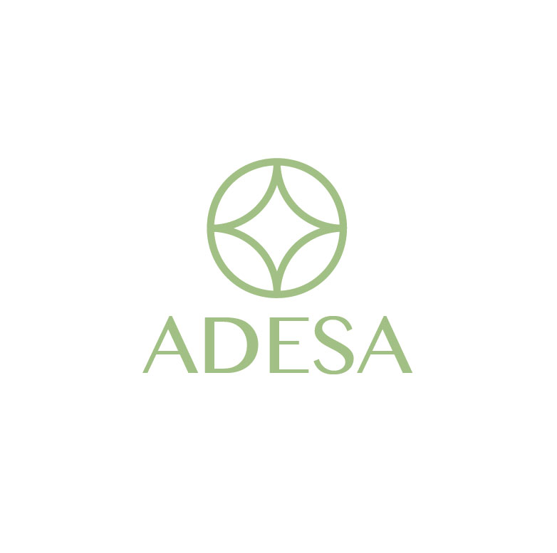 Elegant, Playful, It Company Logo Design for Adesa by Design ...