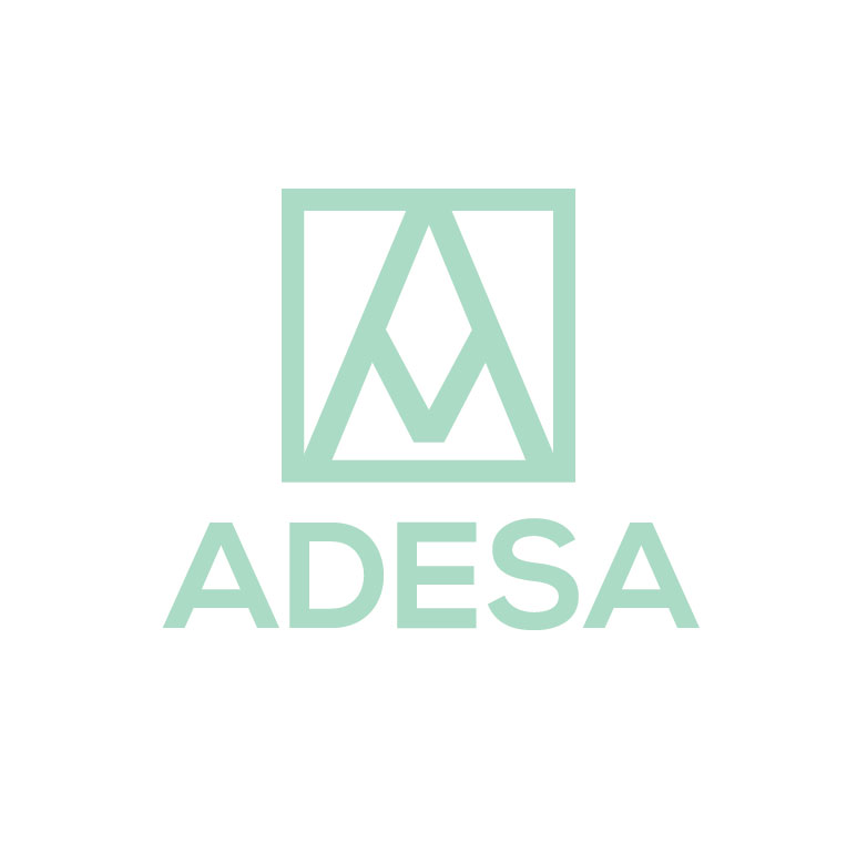 Elegant, Playful, It Company Logo Design for Adesa by Design ...