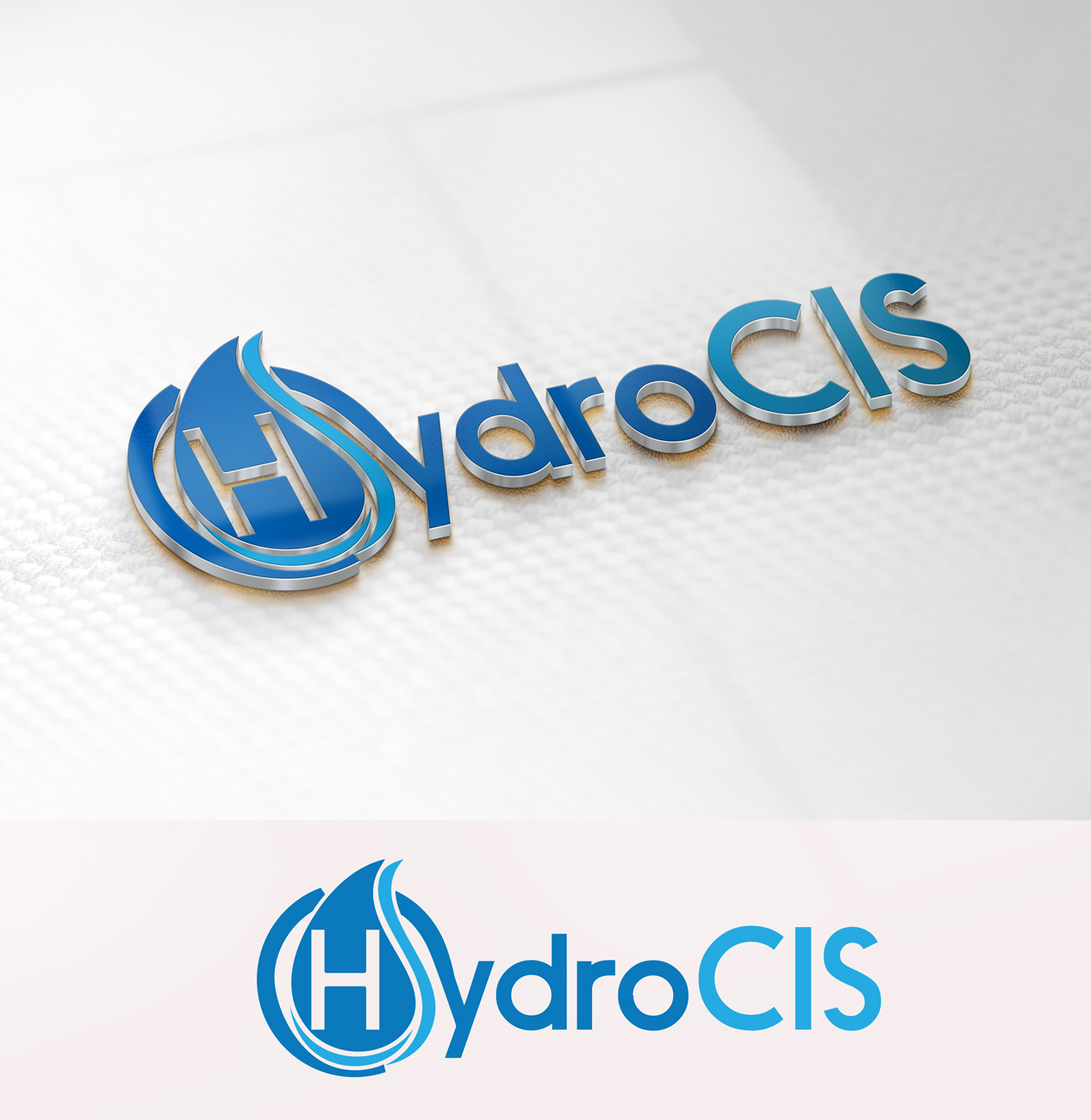 It Company Logo Design for HydroCIS or HYDROCIS by Impressive Sol ...