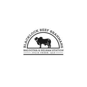 True Aussie Beef Logo