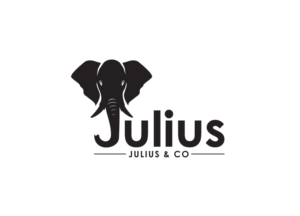 Julius Holdings LLC - Logo Design | 43 Logo Designs for Julius