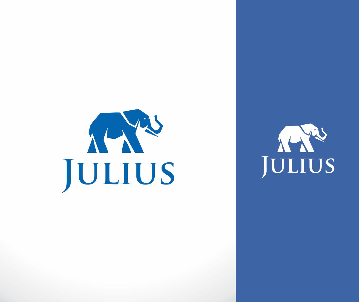 Julius Holdings LLC - Logo Design | 43 Logo Designs for Julius