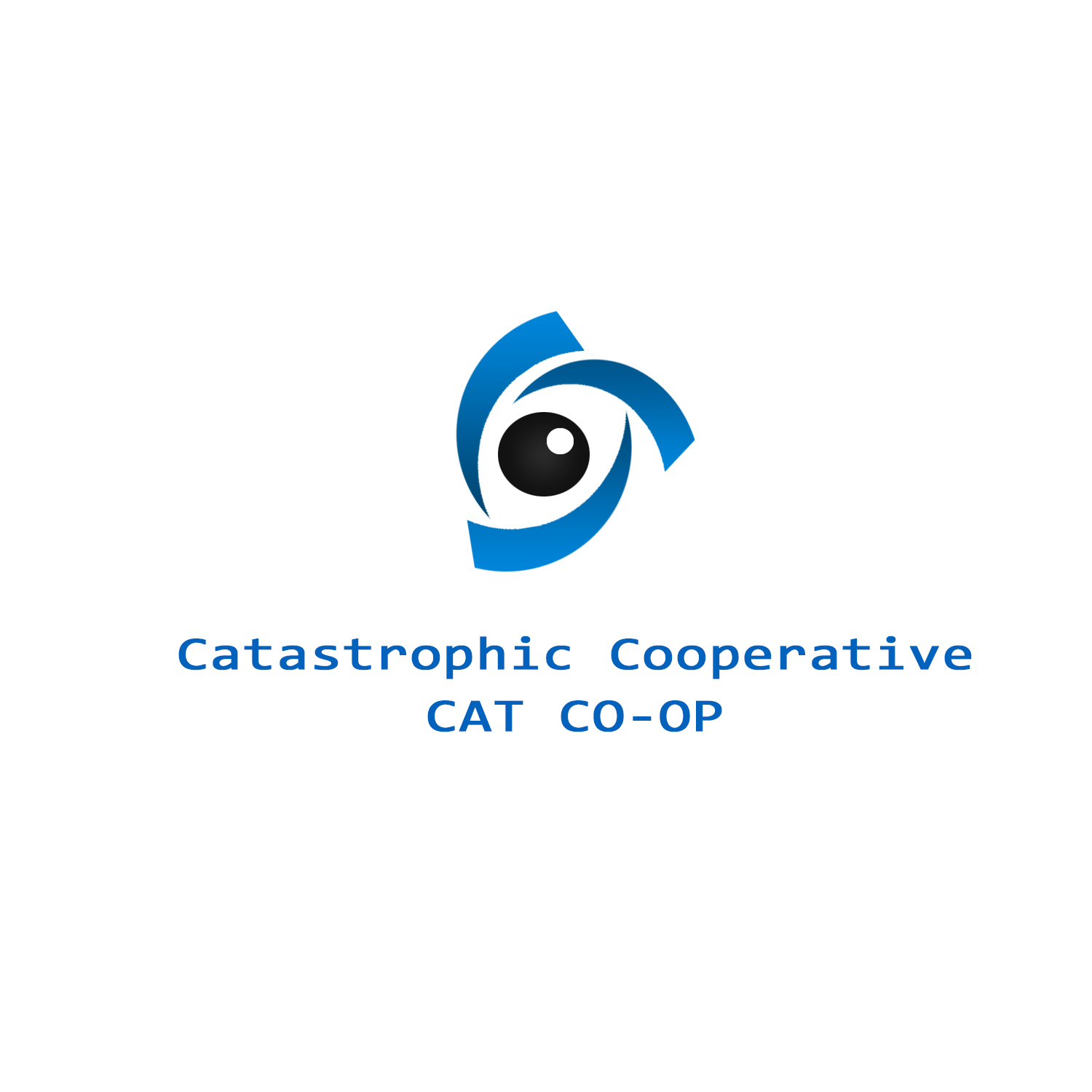 Serious, Professional, Consulting Logo Design for Catastrophic ...