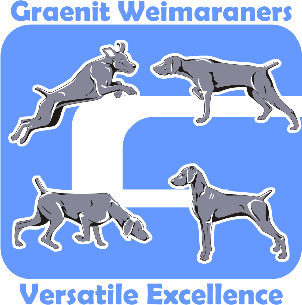 Elegant, Playful Logo Design for Graenit Weimaraners / Tag - Versatile ...