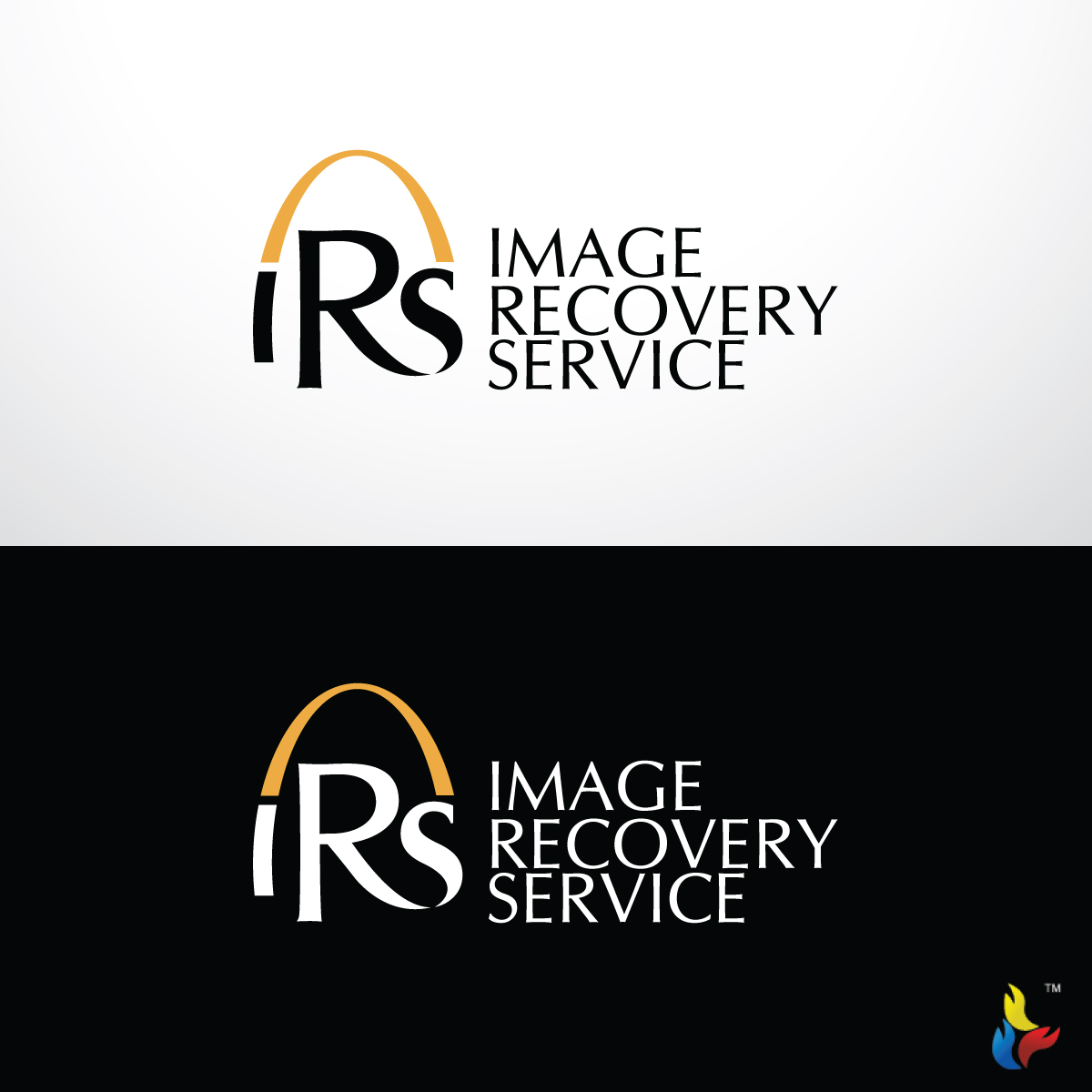 Serious, Elegant, It Company Logo Design for image recovery service by ...