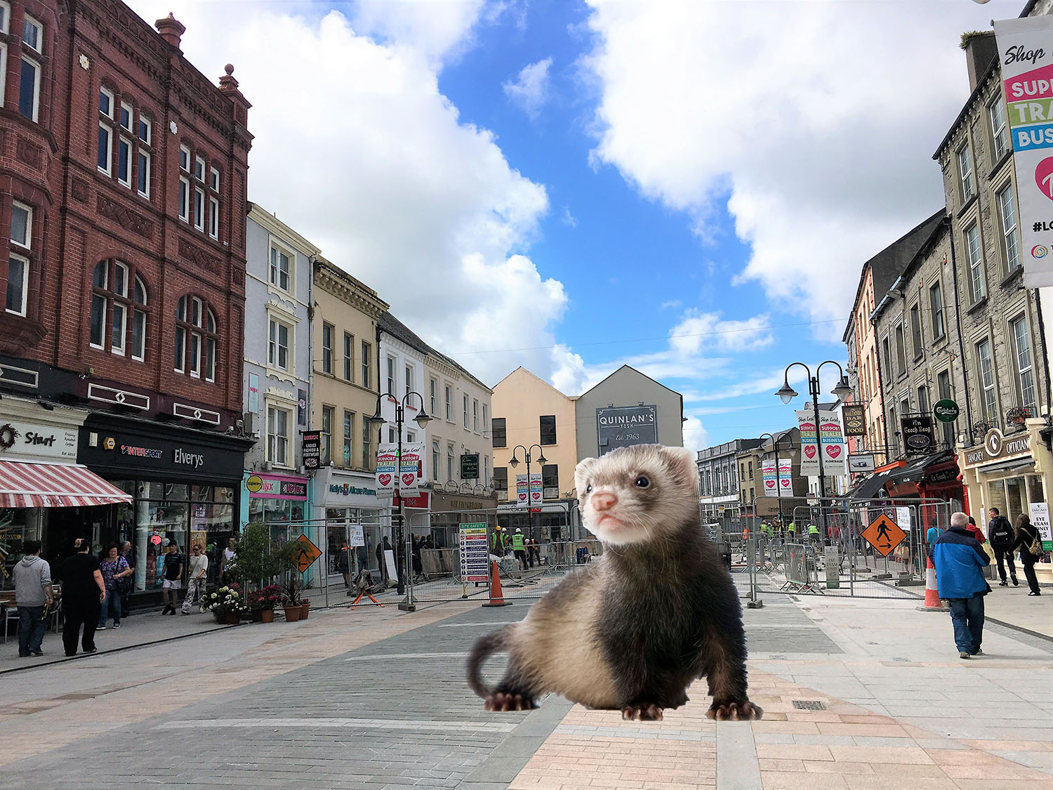 Photoshop Submission for 'Oversized Animals 12' Contest | Design #17185038