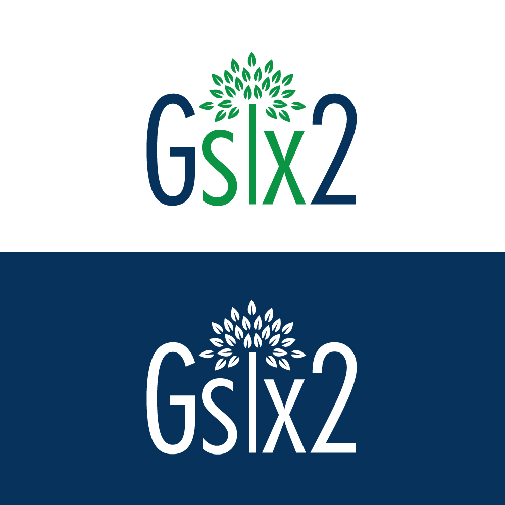 It Company Logo Design for G six 2 by Sujit Banerjee | Design #17377008