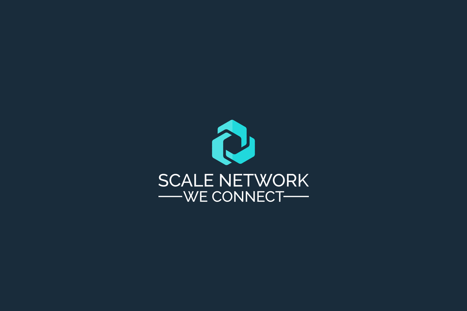 Professional, Modern, Business Consultant Logo Design for Scale Network ...