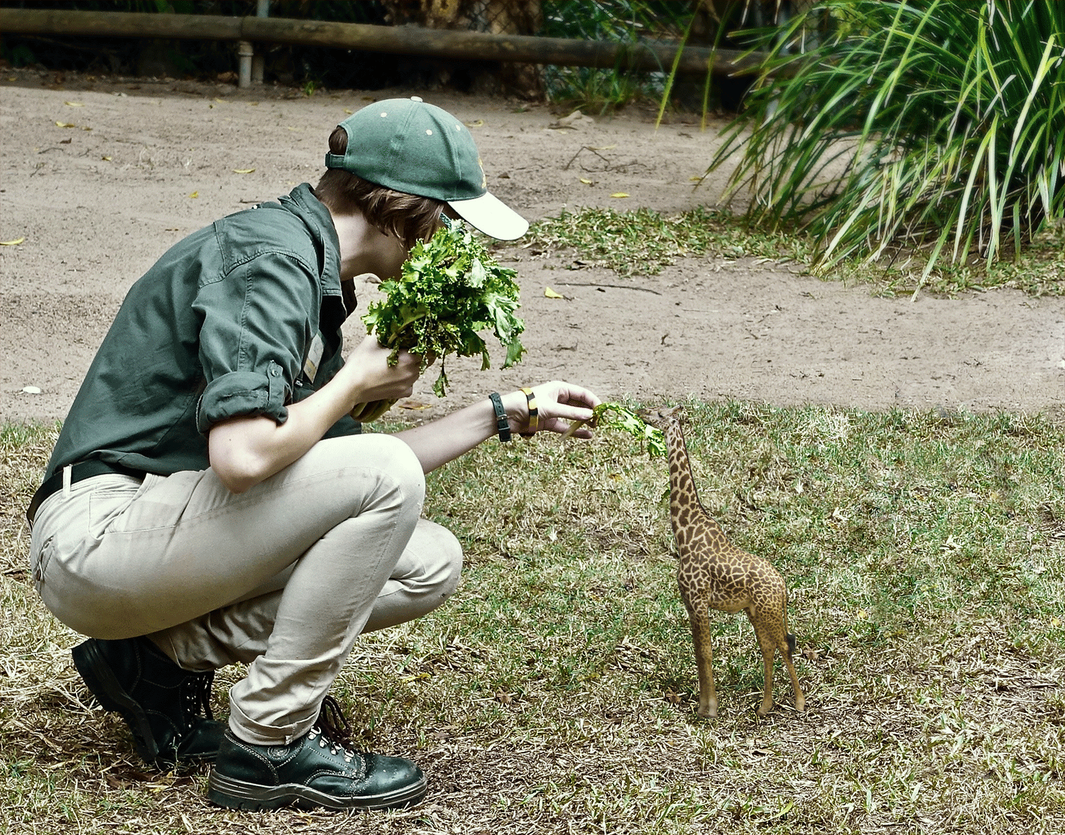 Photoshop Submission for 'Animal Proportions 8' Contest | Design #17802133