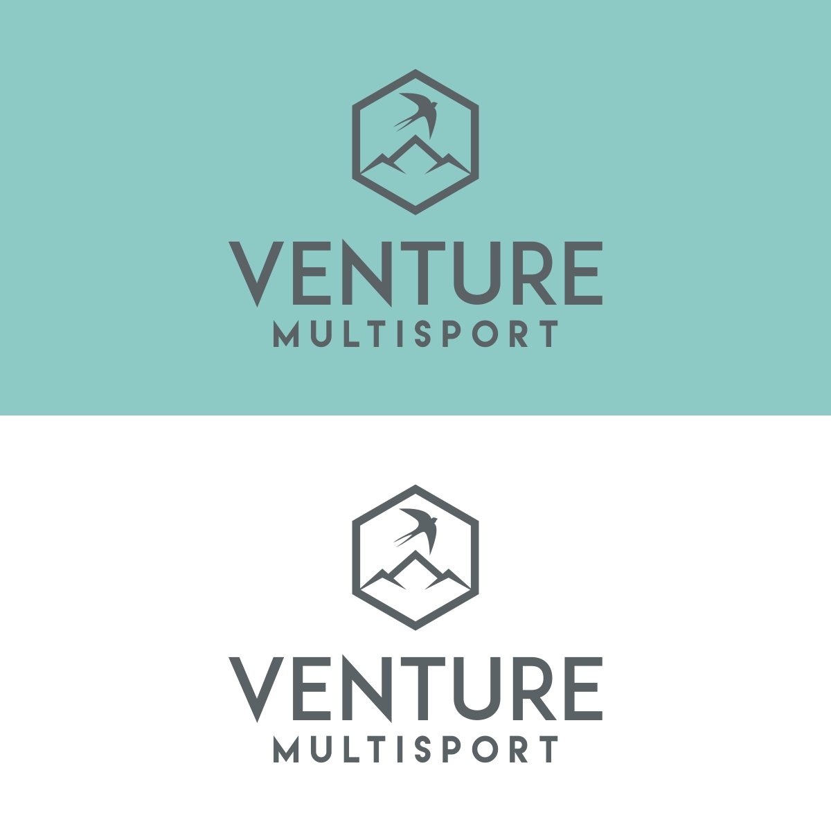 Bold, Playful, It Company Logo Design for Venture Multisport by ...