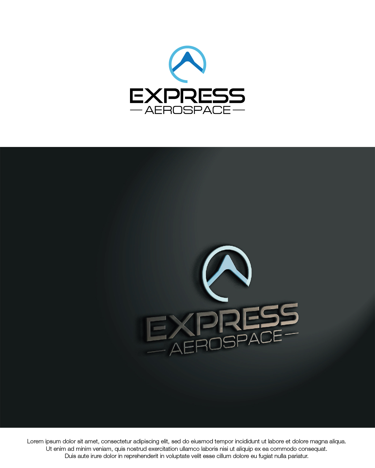 Professional, Modern, Aviation Logo Design for Express Aerospace by ...