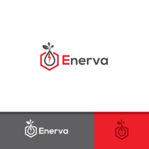 Energy Consultant Company needs a logo | 6 Logo Designs for Enerva