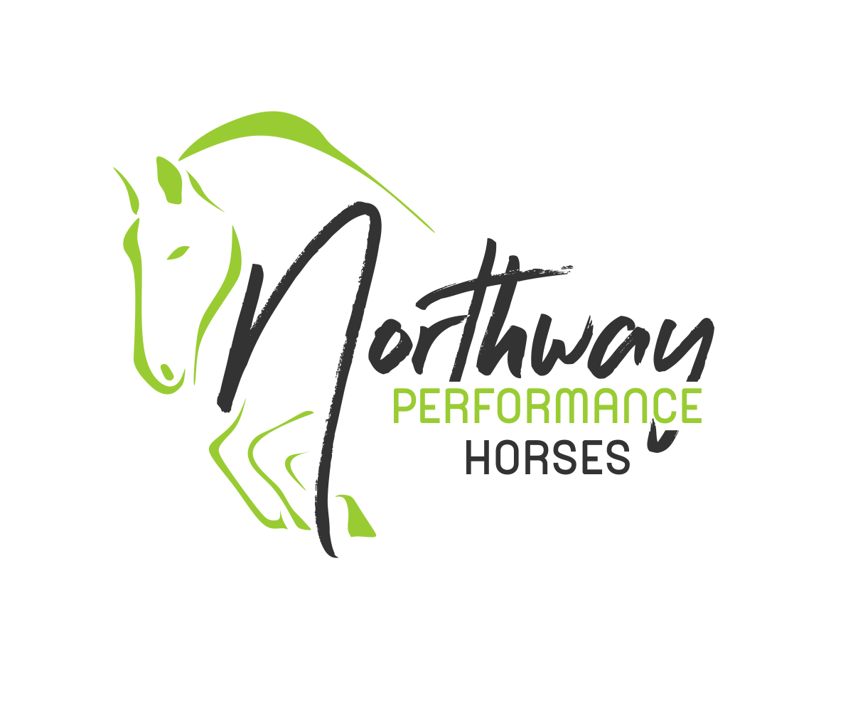 Professional, Masculine, Business Logo Design for Northway Performance ...