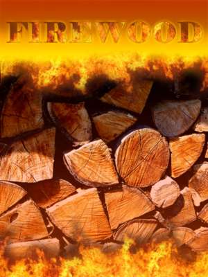 Bold, Professional, Firewood Advertisement Design for a Company by ...