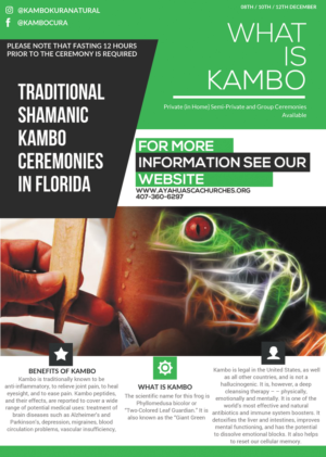 Kambo Flyer | 8 Flyer Designs for Soul Quest