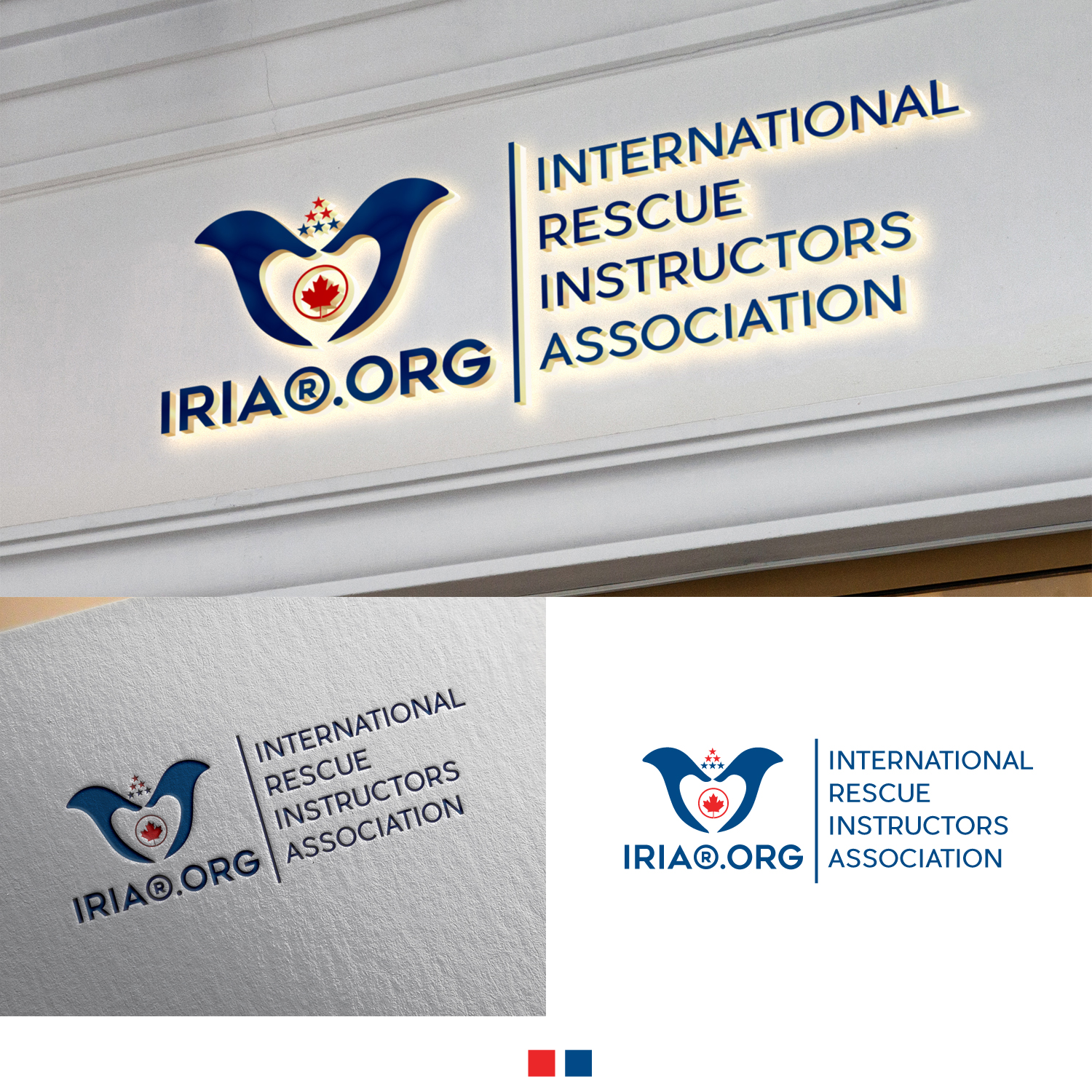 Serious, Professional Logo Design for IRIA.org International Rescue ...