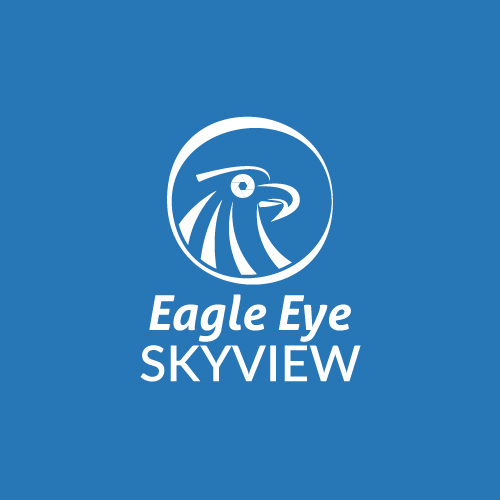 Elegant, Playful Logo Design for Eagle Eye Skyview by Mega-Design ...