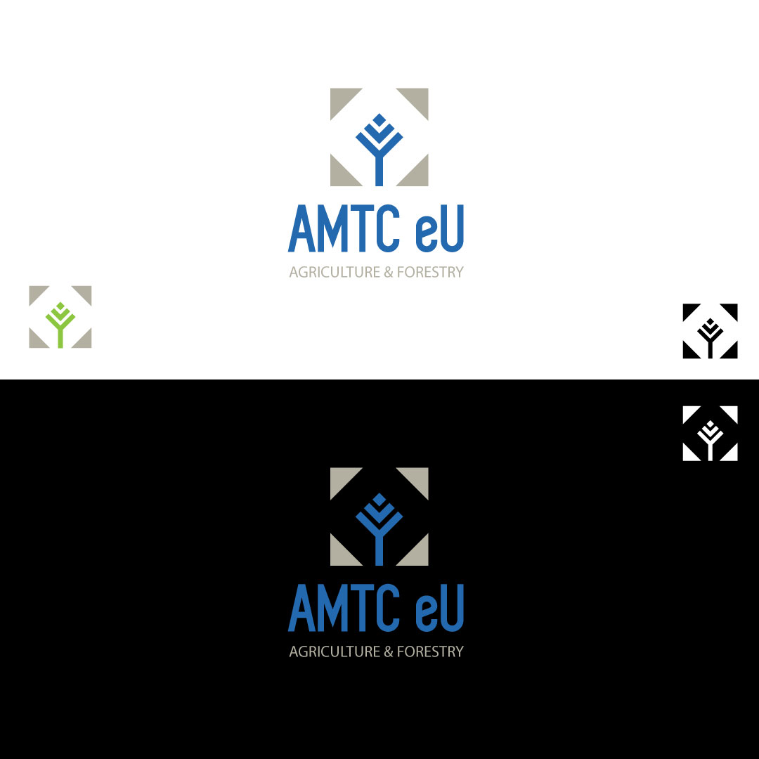 Professional, Serious, Management Consulting Logo Design for AMTC e.U ...