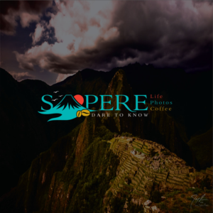 Design logo with word Sapere in it for a lifestyle website with a ...