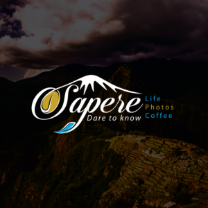 Design logo with word Sapere in it for a lifestyle website with a ...