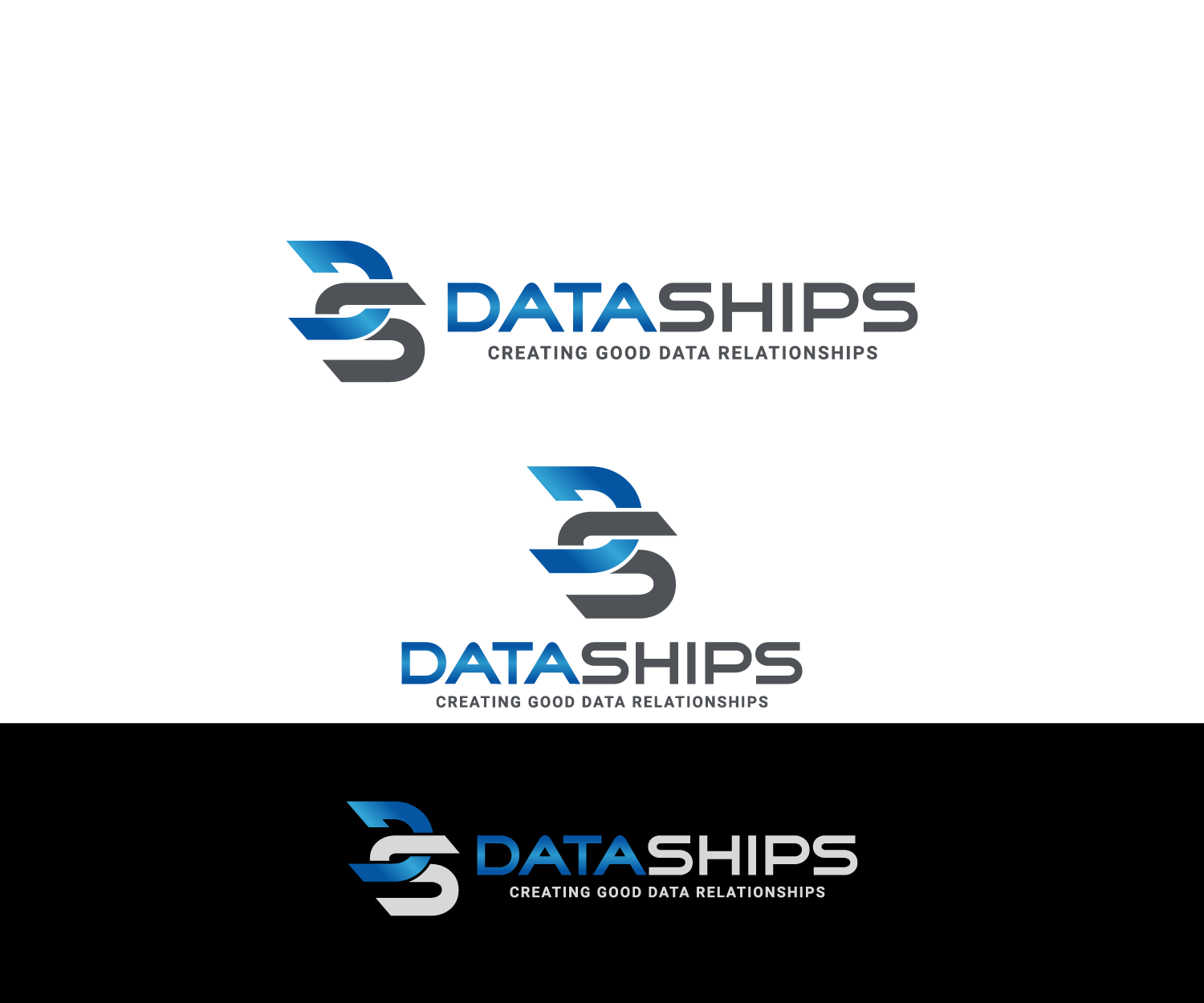 Elegant, Serious, Information Technology Logo Design for DATASHIPS by ...