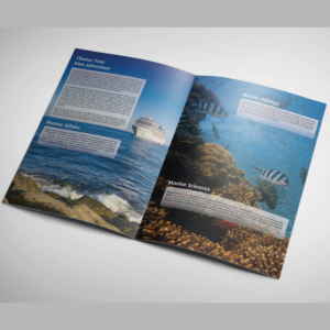 University of Miami - Undergraduate Booklet | 9 Brochure Designs for ...