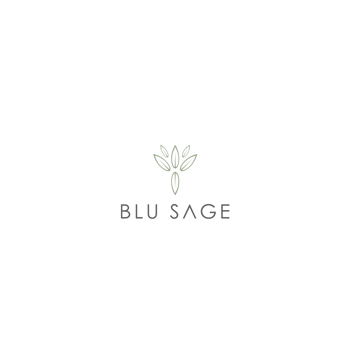 Modern, Upmarket Logo Design for Blu Sage by logo_s | Design #18947509