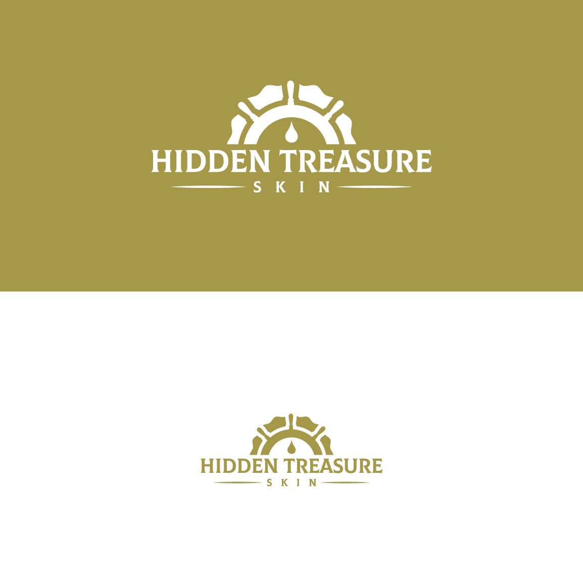 Elegant, Playful Logo Design for Hidden Treasure Skin by Fanol Ademi ...
