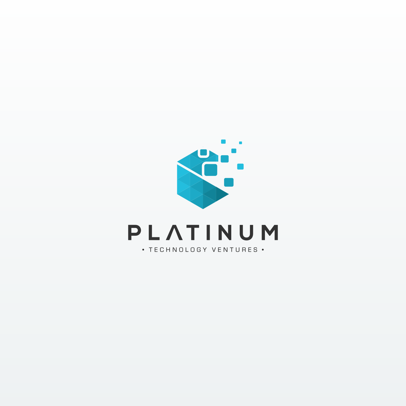 Elegant, Playful Logo Design for Platinum or Platinum Technology ...
