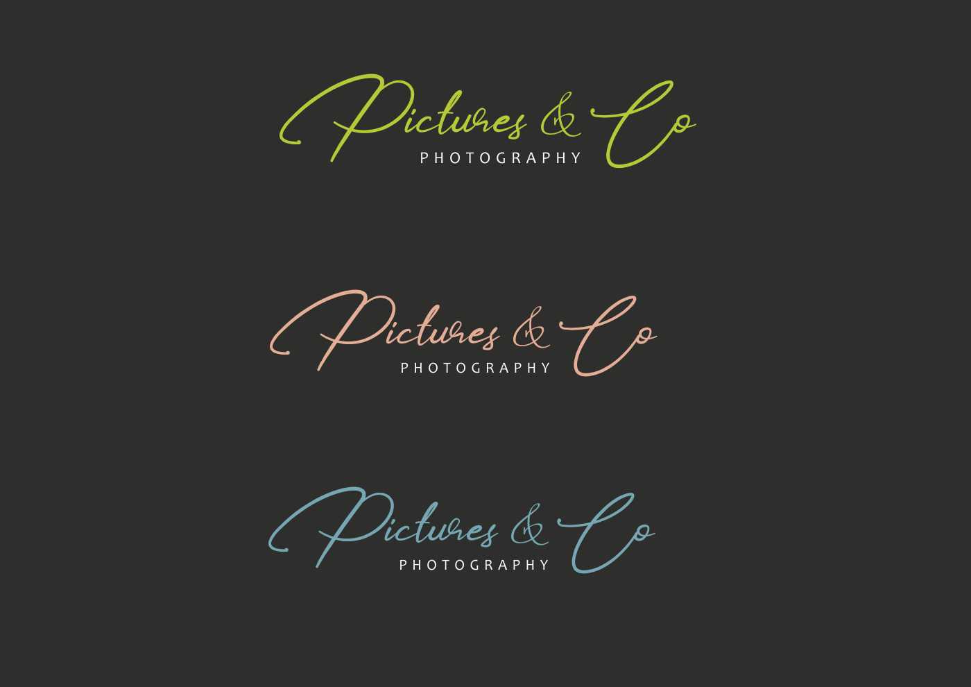 Elegant, Modern, Professional Photography Logo Design for Pictures & Co ...