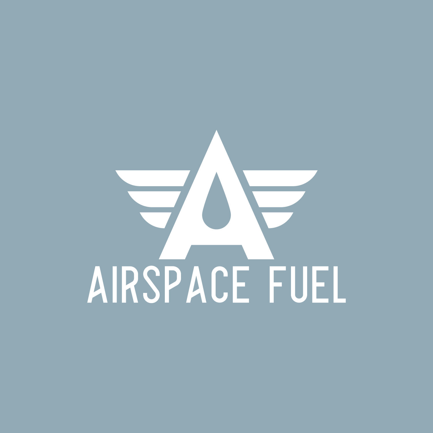 Serious, Professional, Aviation Logo Design for Airspace Fuel by pedro ...