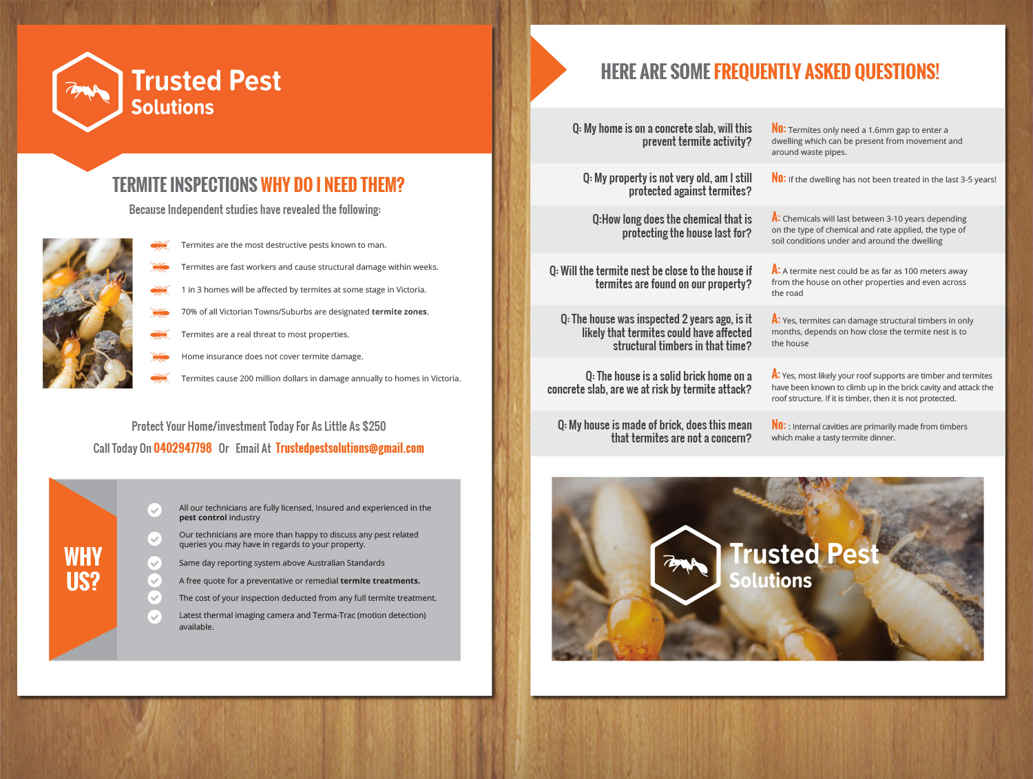 Flyer Design for Trusted Pest Solutions by MNM | Design #19618460