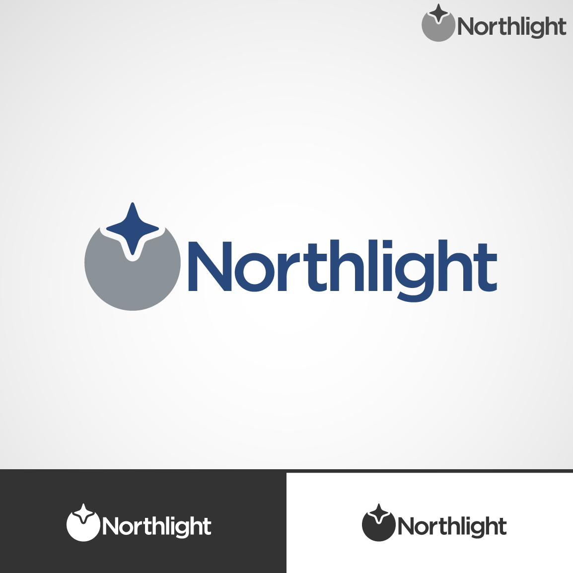 Financial Logo Design for Northlight by Fanol Ademi | Design #2914794