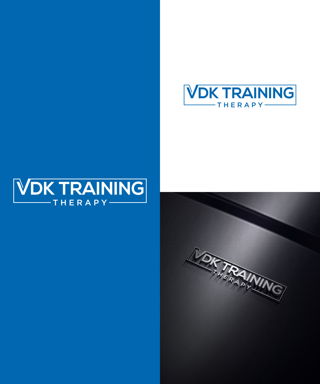 Professional, Colorful Logo Design for VDK TRAINING THERAPY by art23 ...