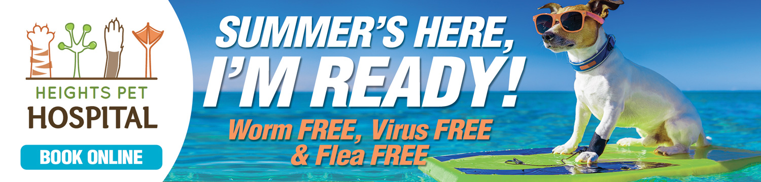 Bold, Colorful, Veterinary Graphic Design for Heights Pet Hospital by ...